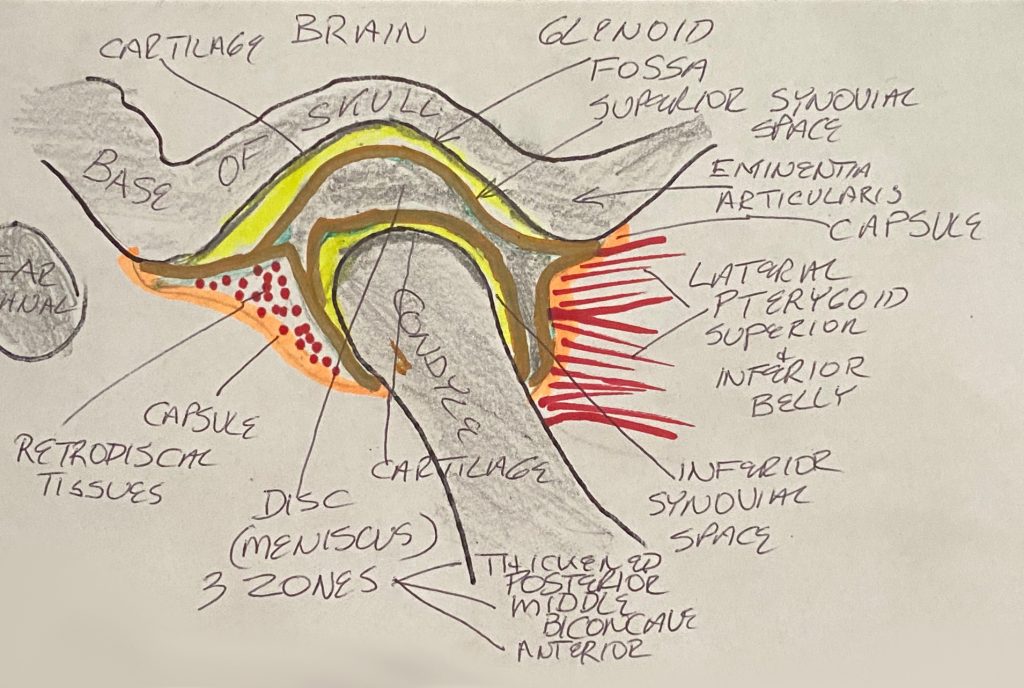 TMJ Pain and Temporomandibular Disorders Cairns | Future Dental