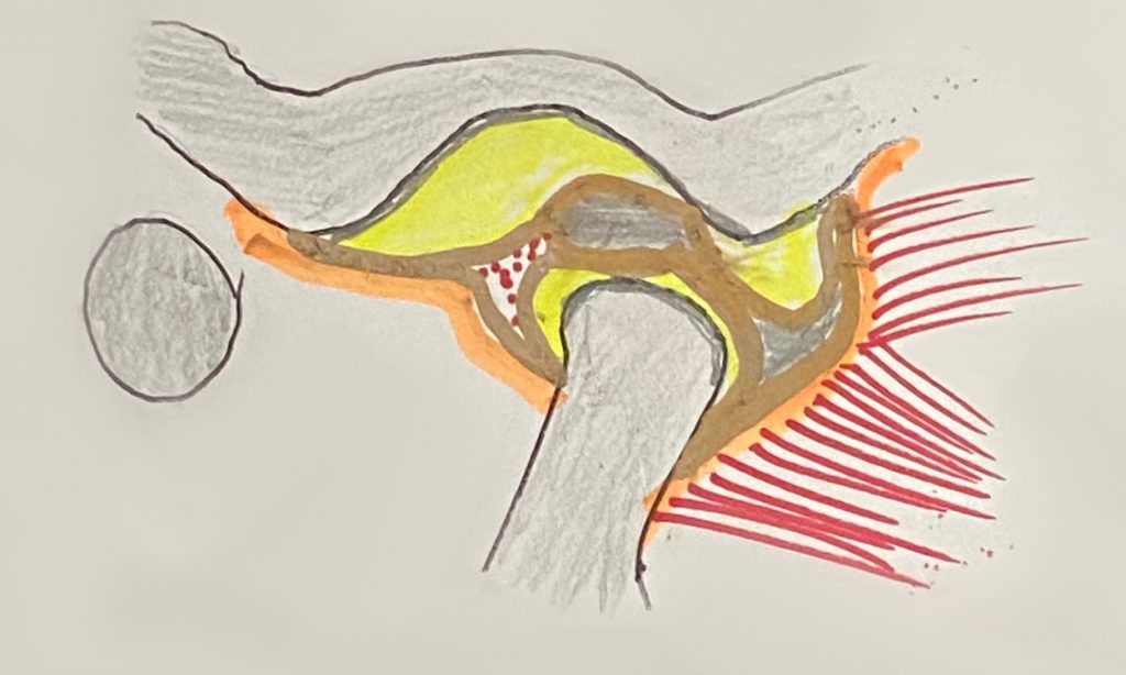 TMJ Pain and Temporomandibular Disorders Cairns | Future Dental
